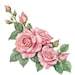 10 Printable Roses Corner, Watercolor Pink Roses, Rose Clip Art ...