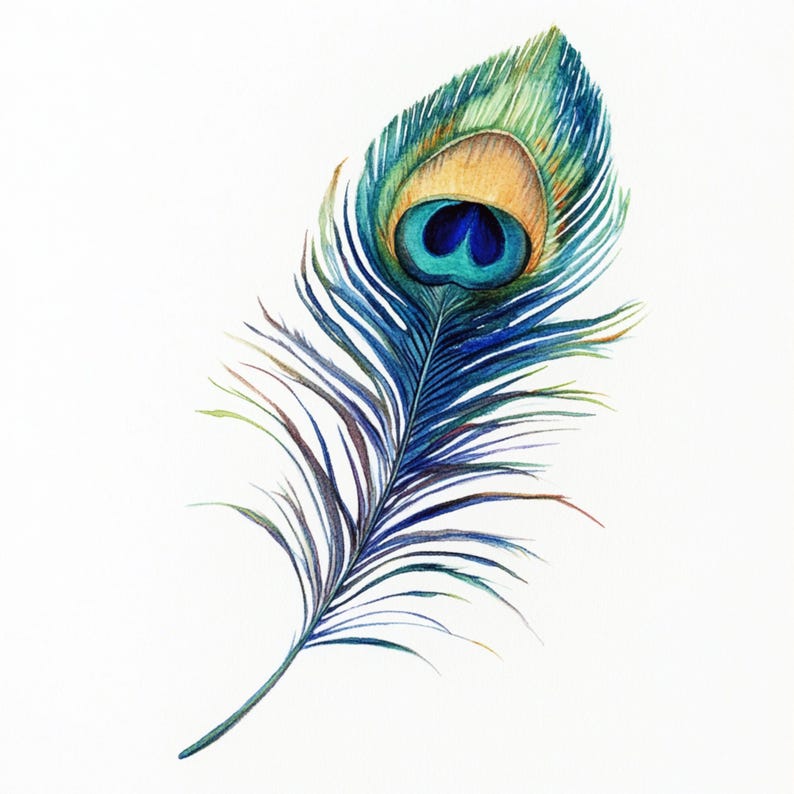 10 Printable Feather, Watercolor Peacocks Feather Clipart, Printable ...