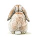 10 Printable Cute Rabbit Butt Clipart, Watercolor Art, Funny Rabbit ...