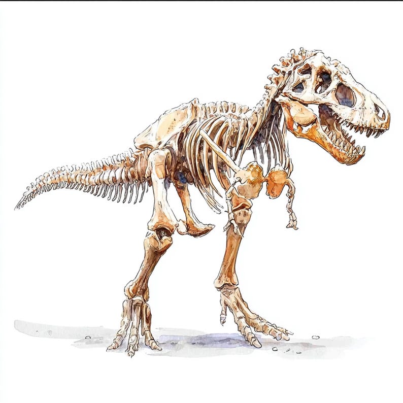 12 Printable Dinosaur Skeletons, Skeletons Jpgs, Paper Design ...