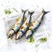 Printable Sardines Art, Watercolor Fish on Newspaper, Sea Food Decor ...
