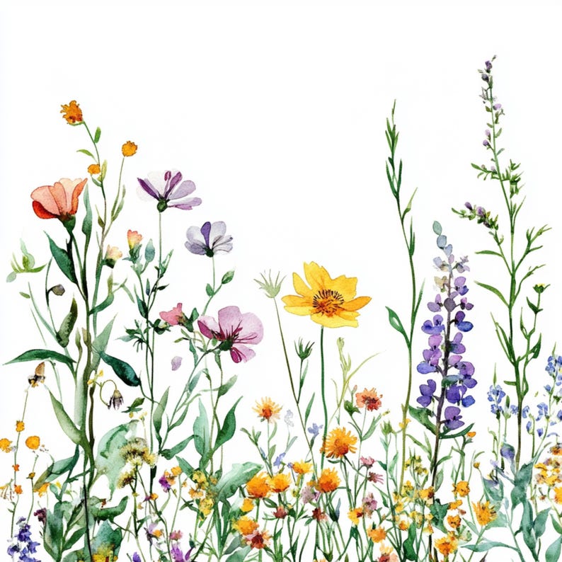 10 Printable Wildflowers Border Decor, Watercolor Grassland Flowers ...