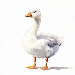 Printable Little Goose Clipart, Watercolor Goose, 10 Cute Clipart ...