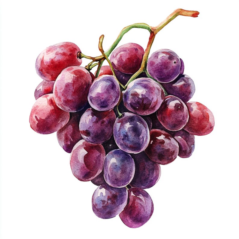 10 Printable Bunch of Grapes Dark Red, Grapes Painting, Bunch of Grapes ...