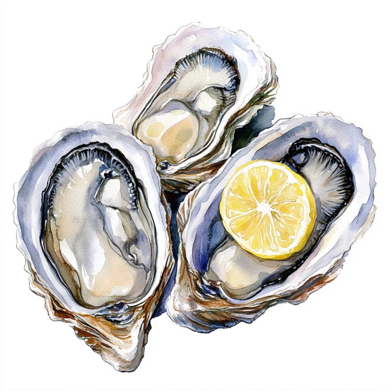 Printable Oyster Clipart, Oyster Watercolor, Nautical Clip Art ...