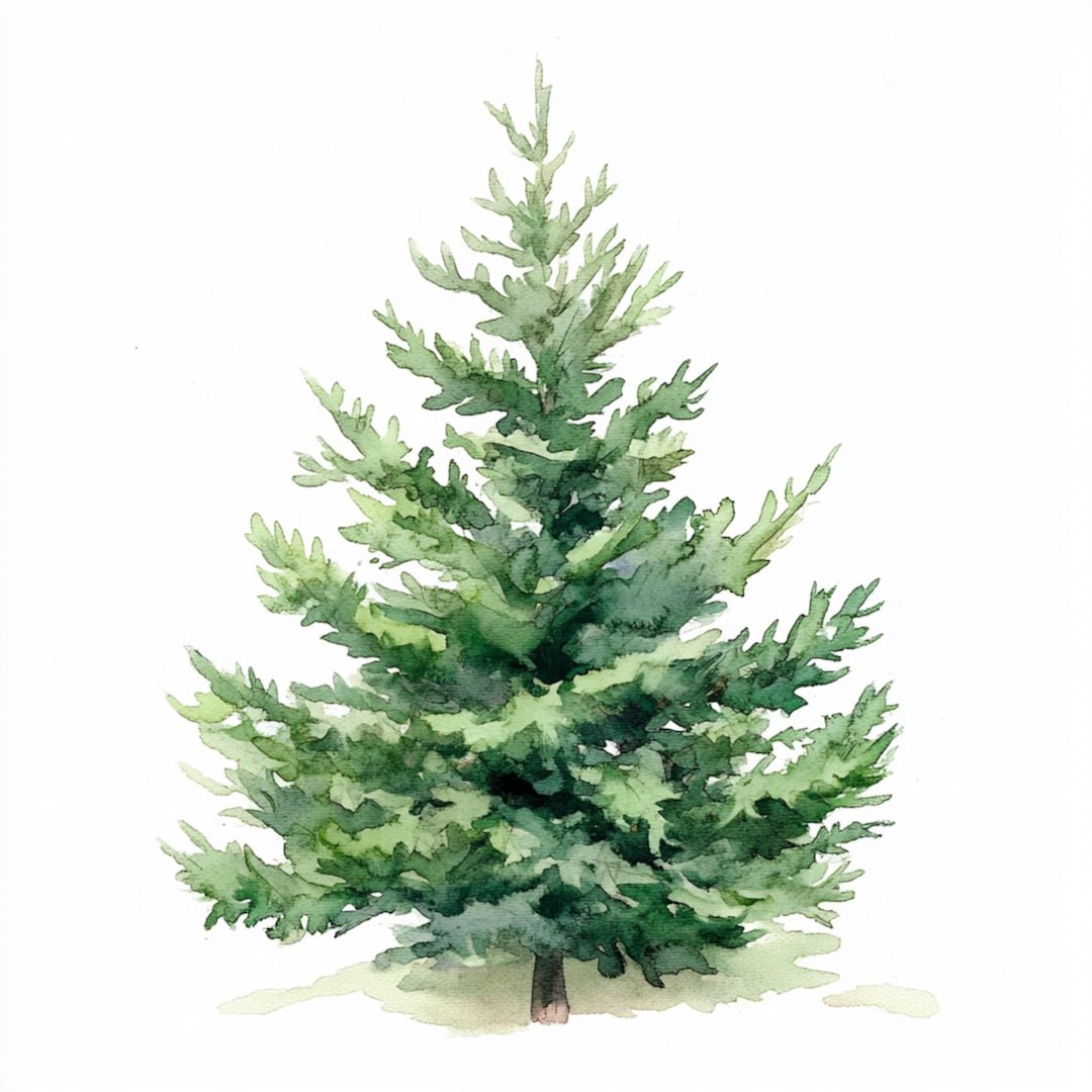 Christmas Tree, Watercolor Style, Christmas Tree Clipart, 10 Clip Art ...