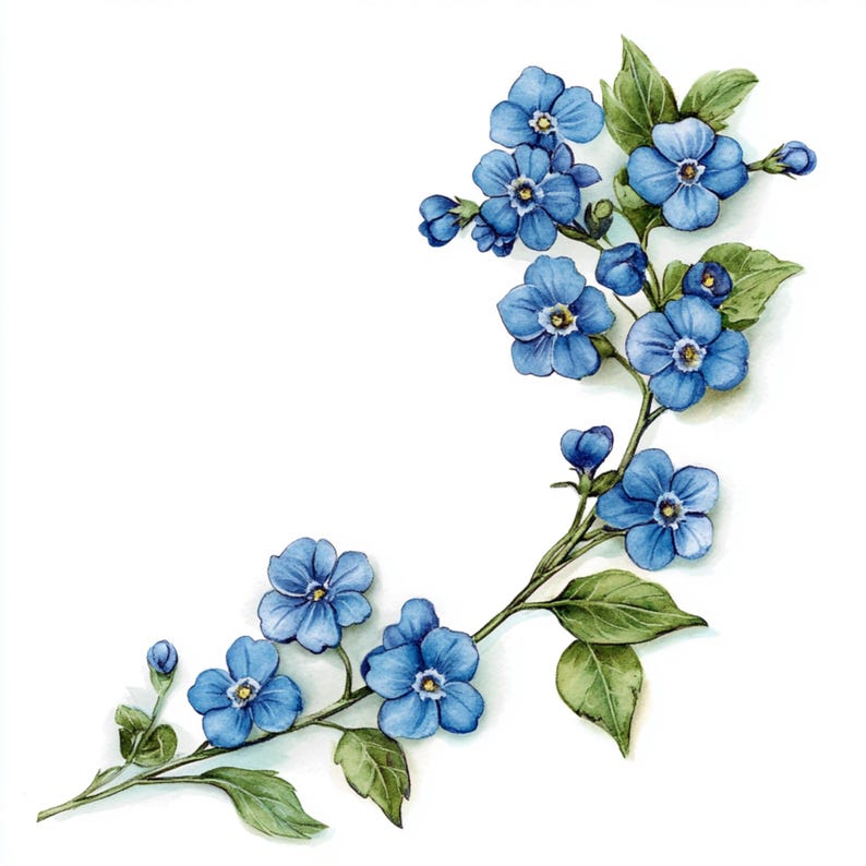 Printable Forget-me-not Corner, Watercolor Forgetmenot, Spring Clip Art ...