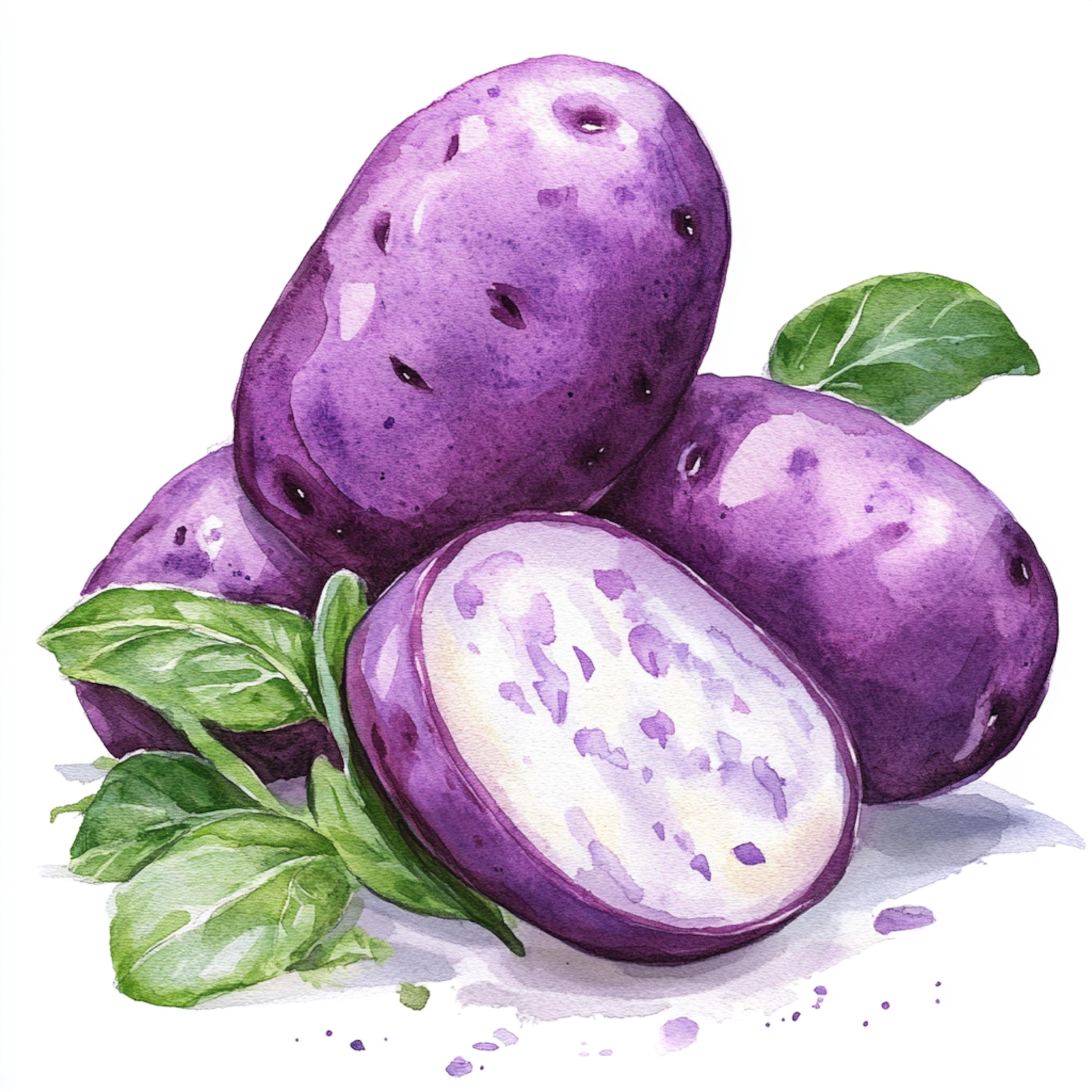 10 Printable Potatoes Art, Watercolor Images, Potatoes Clipart ...