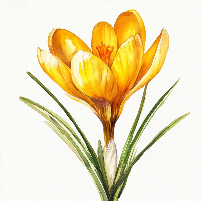 Printable Yellow Crocus Flower Decor, Crocuses Watercolor Images ...