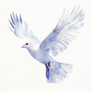 10 Printable White Dove, Peace Dove, Printable Watercolor Clipart ...