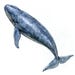 10 Printable Blue Whale Clipart, Whale Watercolor, Nautical Clip Art ...