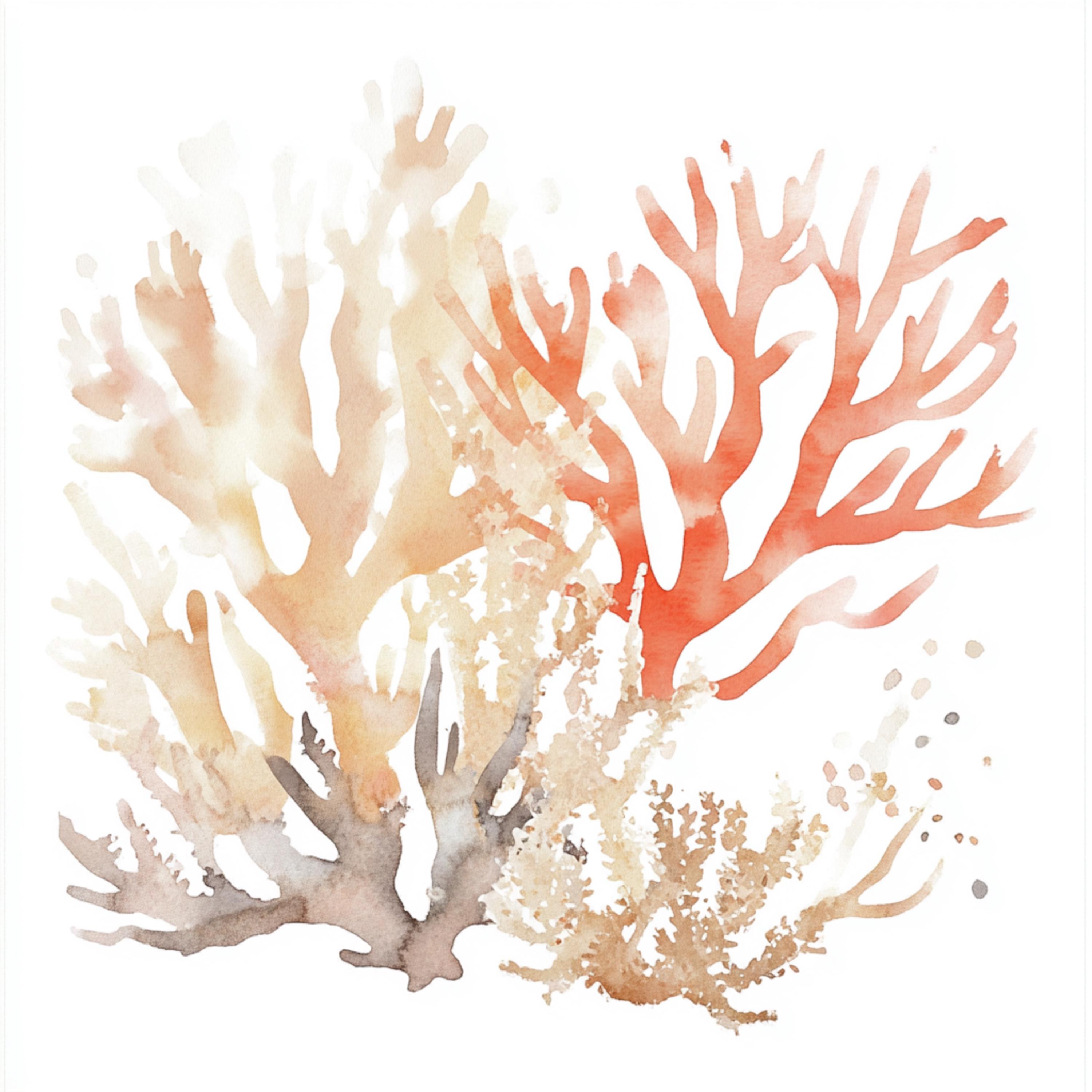 10 Printable Corals Clipart, Corals Watercolor, Nautical Print, Sea ...