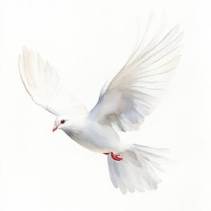10 Printable White Dove, Peace Dove, Printable Watercolor Clipart ...