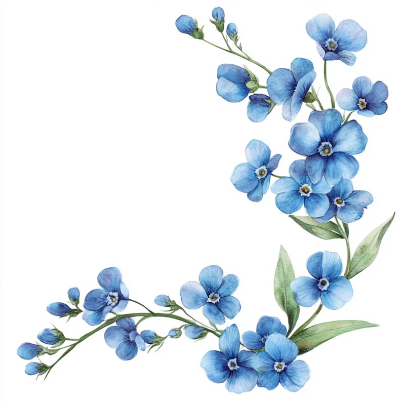 Printable Forget-me-not Corner, Watercolor Forgetmenot, Spring Clip Art ...