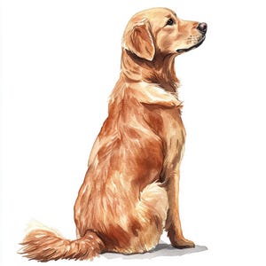 Labrador Sitting Back Retriever Clipart, Labrador Dog, Watercolor Art ...