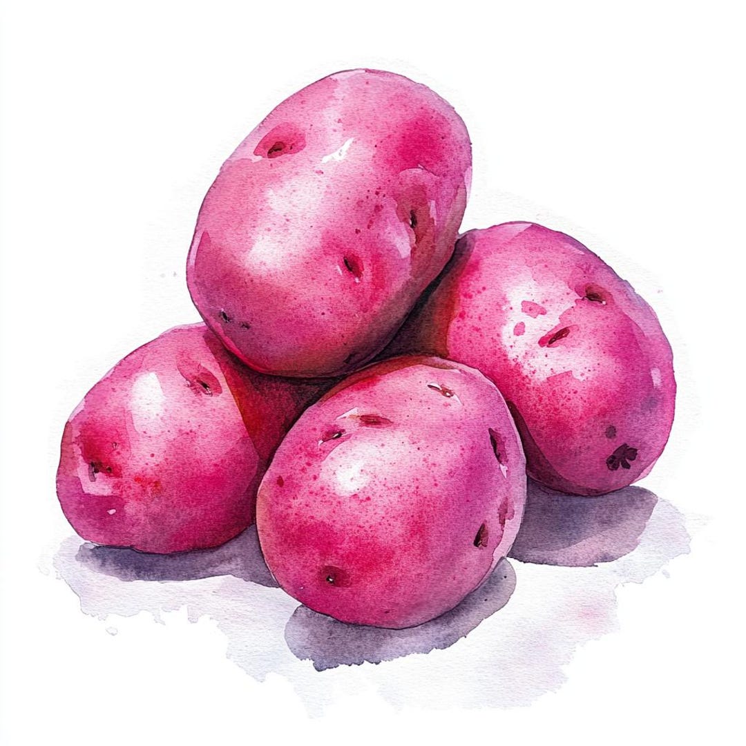 10 Printable Potatoes Art, Watercolor Images, Potatoes Clipart ...