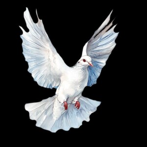 10 Printable White Dove, Peace Dove, Transparent Backgroung Clipart ...