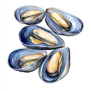 10 Printable Mussels Clipart, Seashell Watercolor, Nautical Clipart ...