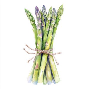 10 Printable Asparagus Art, Watercolor Asparagus, Asparagus Print ...