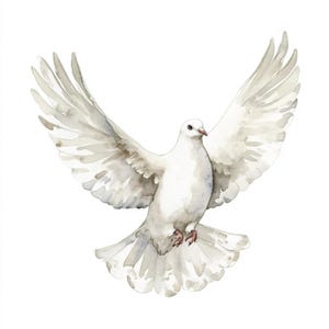 10 Printable White Dove, Peace Dove, Printable Watercolor Clipart ...