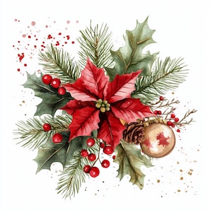 Christmas Poinsettia, Watercolor Images, Christmas Star Clipart, 10 ...