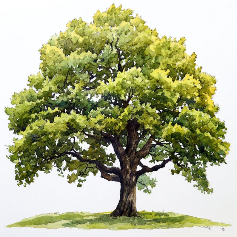 10 Printable Oak Trees, Botanical Art, Green Tree Decor, Oak Trees Art ...