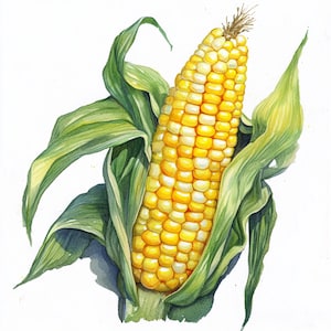 10 Printable Corn Painting, Watercolor Corns, Botanical Corn Art, Green ...