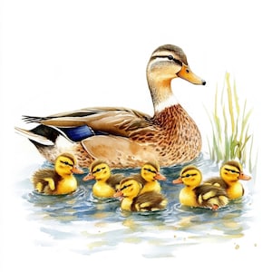 10 Printable Mom Duck With Babies, Watercolor Mother Duck and Baby ...