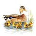 10 Printable Mom Duck With Babies, Watercolor Mother Duck and Baby ...