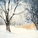 Winter Weather, Falling Snow Watercolor Art, Christmas Clip Art ...