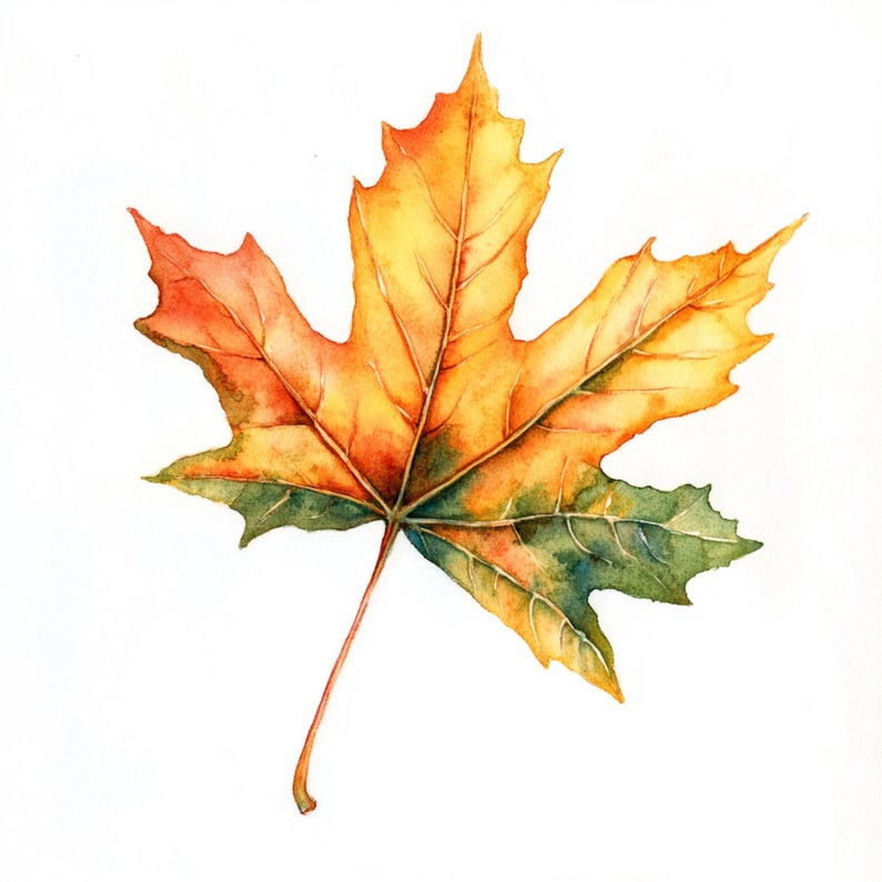 10 Printable Maple Leaf, Watercolor Fall Leaf, Botanical Art, Yellow ...