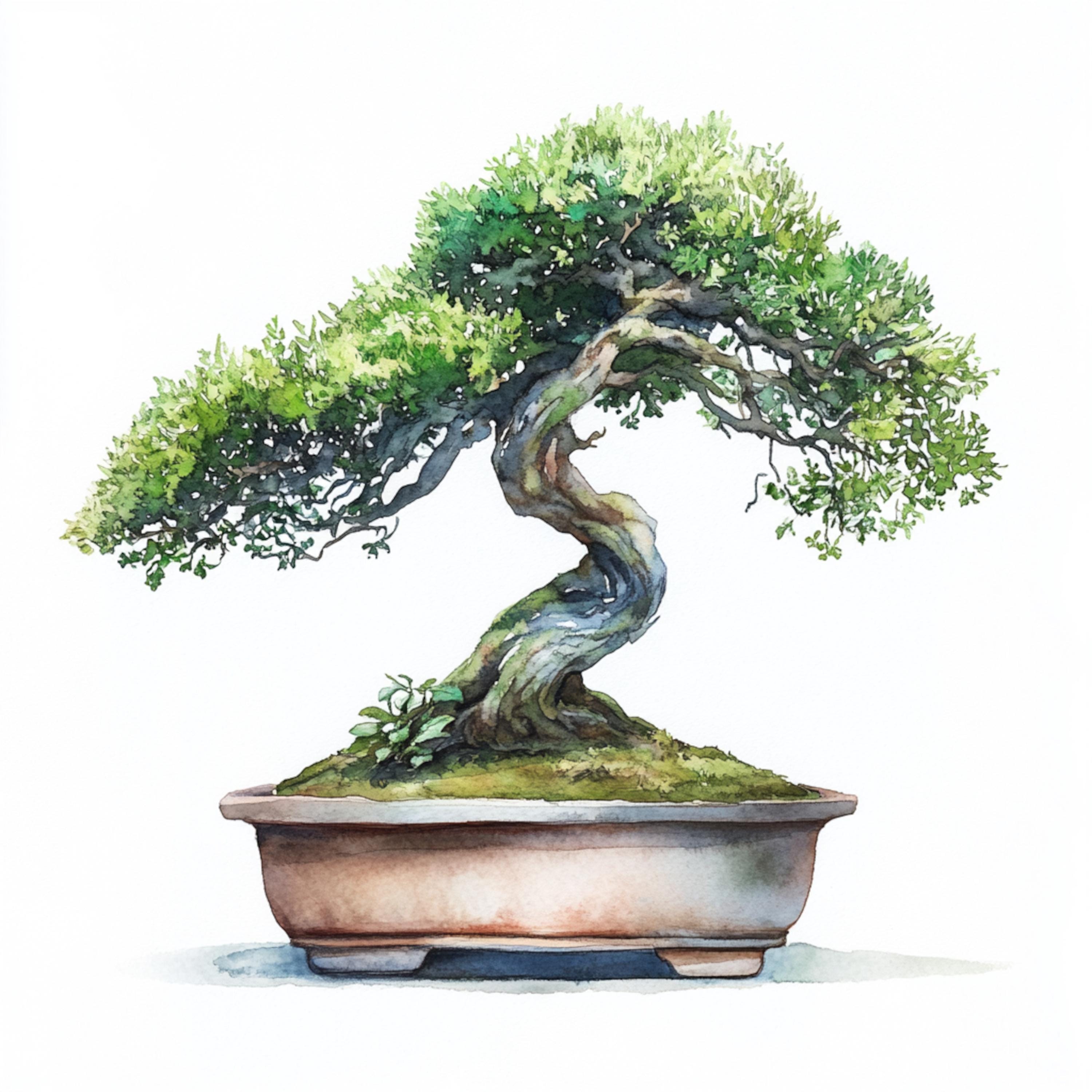 Printable Bonsai Tree, Watercolor Bonsai in Pot, 10 Images, Bonsai ...