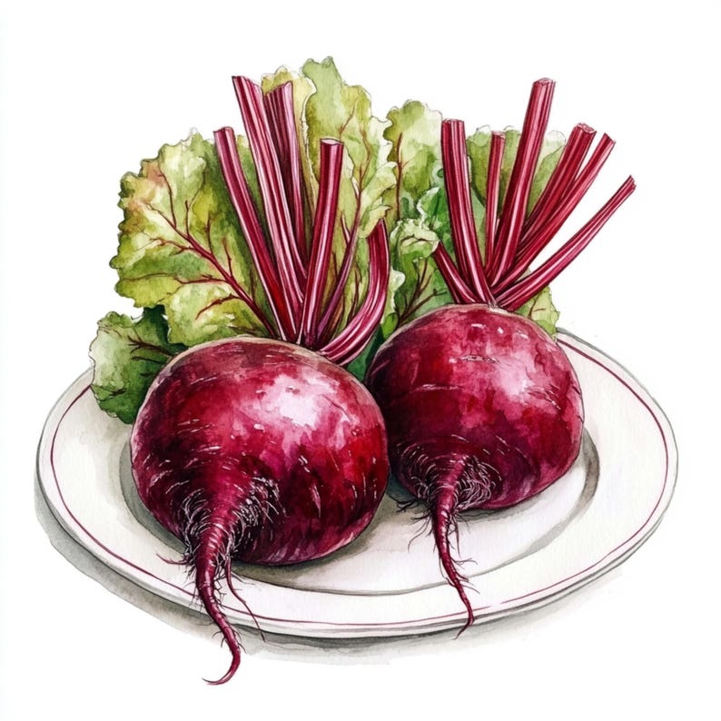10 Printable Beet Decor, Watercolor Images, Beet Root Clip Art ...