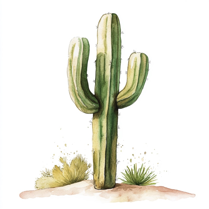 10 Printable Cactus in Desert Decor, Watercolor Images, Cactus ...