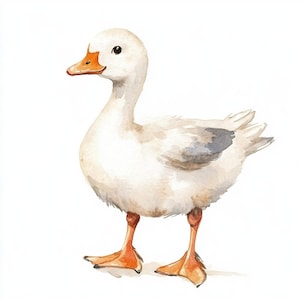 Printable Little Goose Clipart, Watercolor Goose, 10 Cute Clipart ...