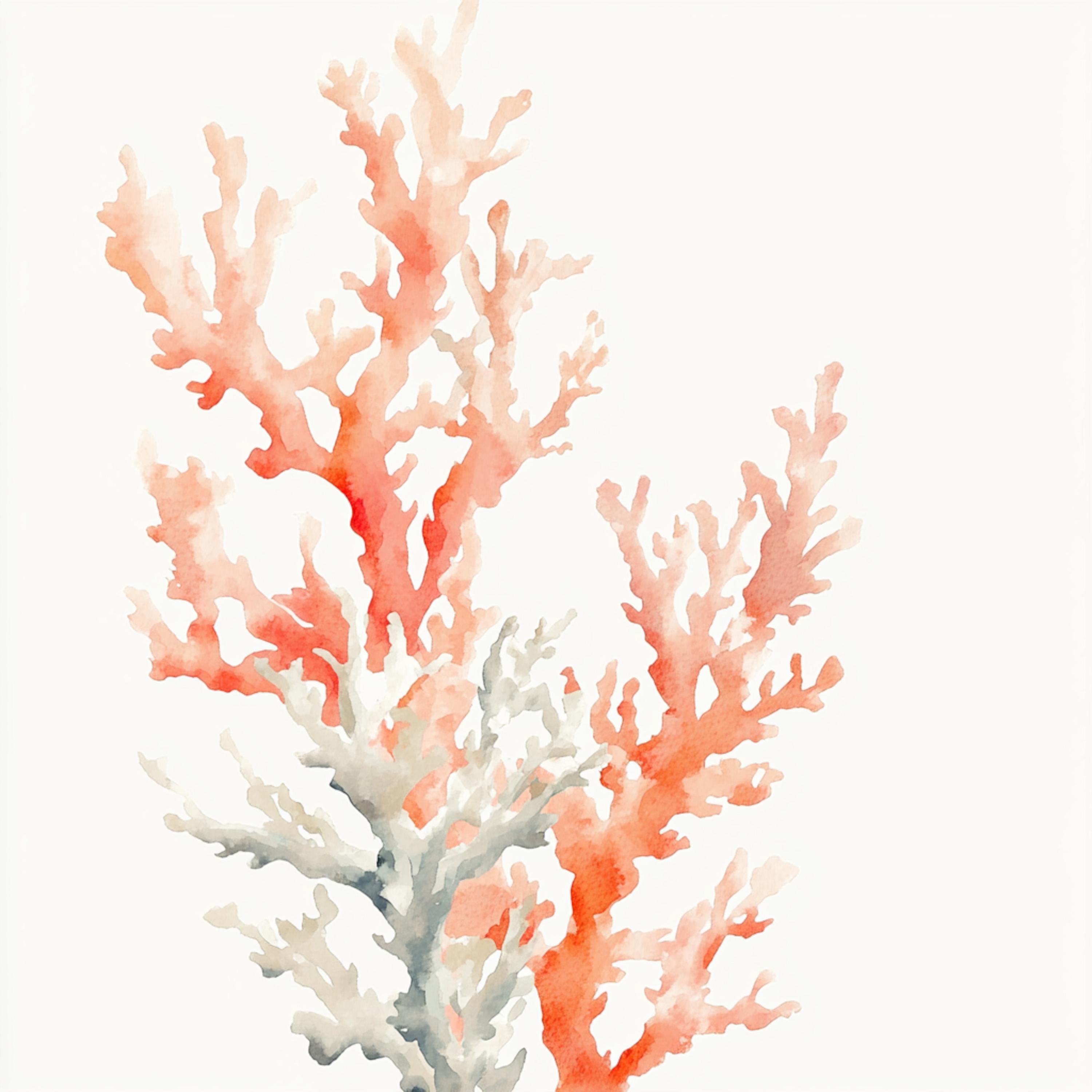 10 Printable Corals Clipart, Corals Watercolor, Nautical Print, Sea ...