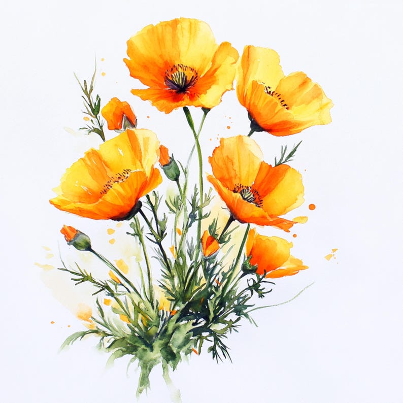 10 Printable California Poppies Art, Watercolor Images, Orange Poppies ...