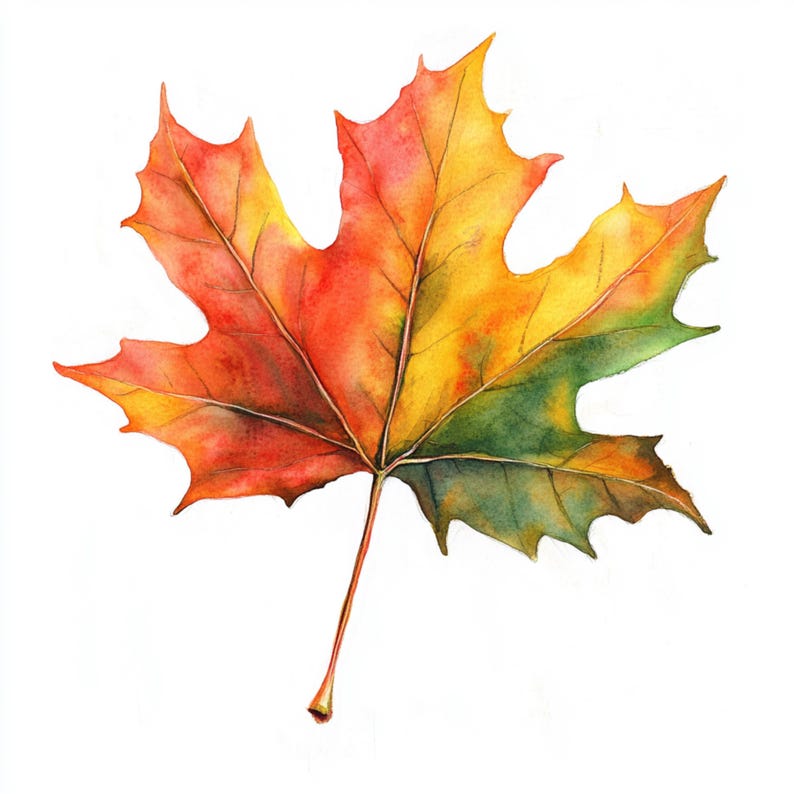 10 Printable Maple Leaf, Watercolor Fall Leaf, Botanical Art, Yellow ...