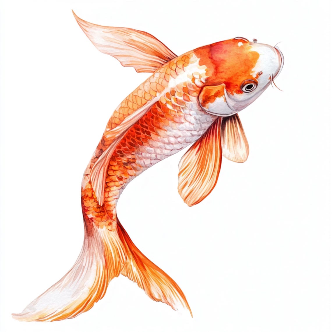 Printable Koi Fish Clipart, Koi Fish Watercolor, Nautical Clip Art ...