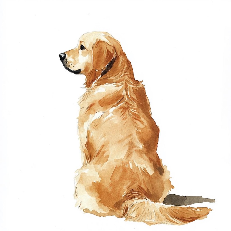 Labrador Sitting Back Retriever Clipart, Labrador Dog, Watercolor Art ...