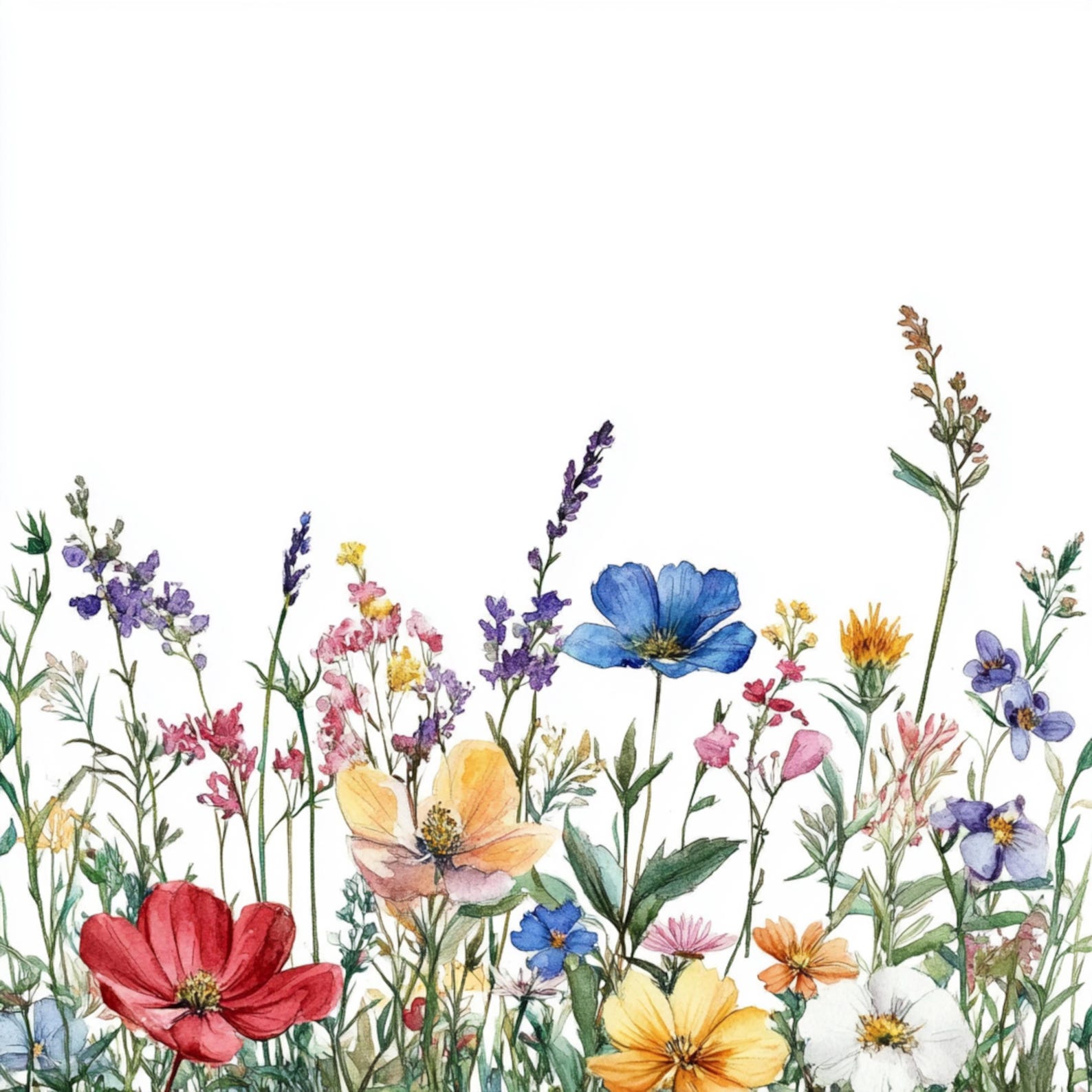 10 Printable Wildflowers Border Decor, Watercolor Grassland Flowers ...