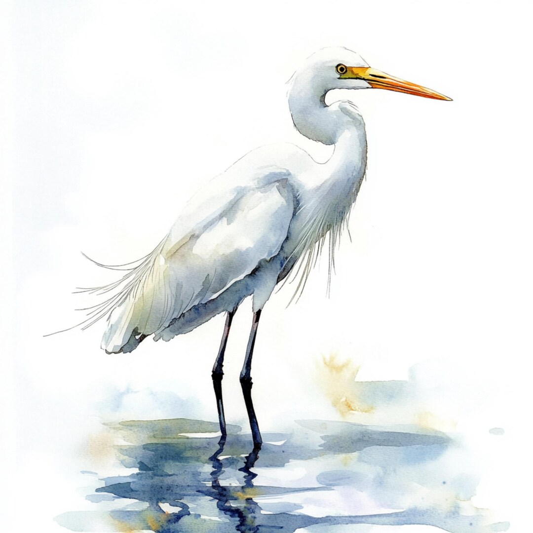 10 Printable Eret Clipart, Watercolor Egret, White Big Bird, Wild ...