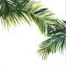 Printable Palm Leaves Decor, Watercolor 10 Images, Palm Leaves ...