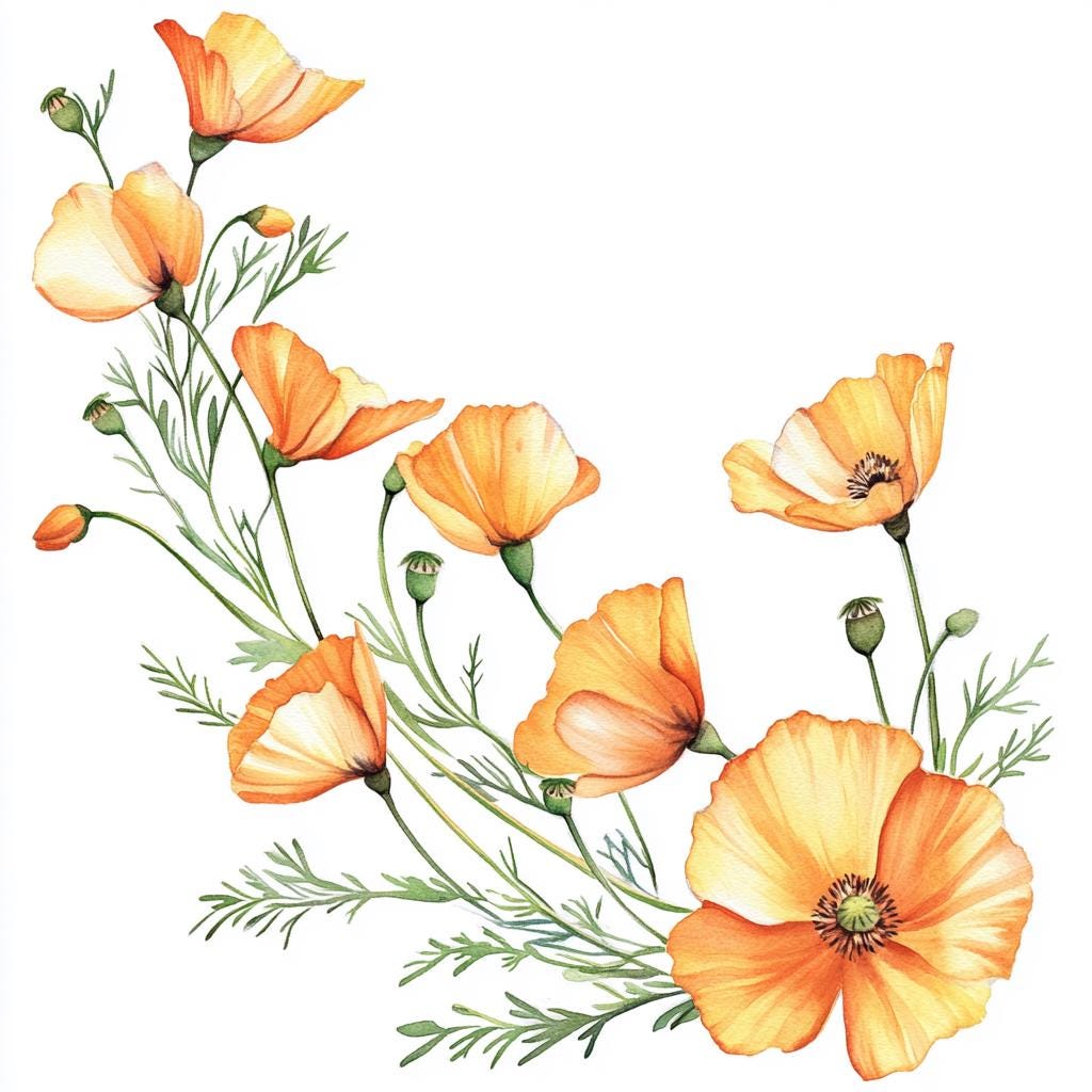10 Printable California Poppies Corner, Watercolor Images, Orange ...