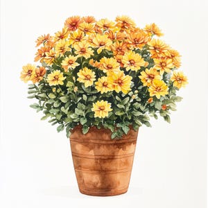 10 Printable Chrysanthemum Flower, Watercolor Chrysanthemum Art, Mum ...