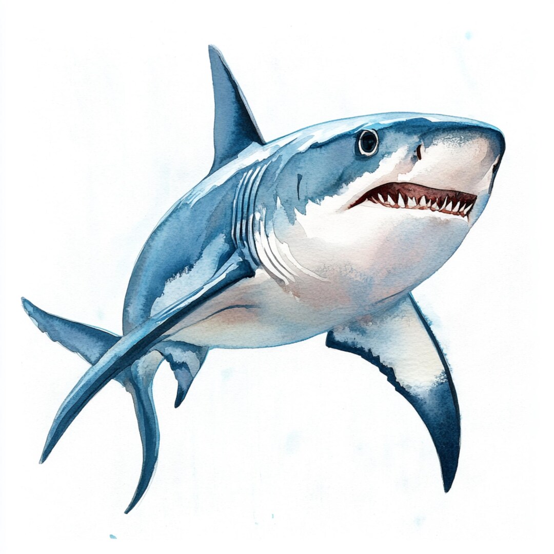 Printable Shark Clipart, Shark Watercolor, 10 Nautical Clip Art ...