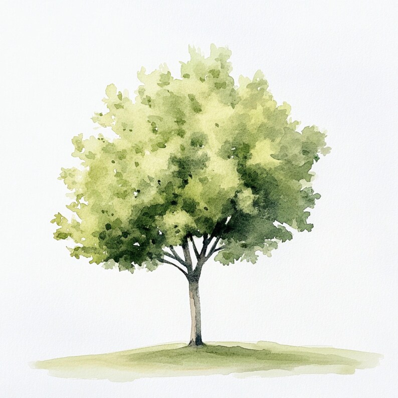 Printable Minimalist Tree, Watercolor Tree, 10 Images, Botanical Art ...