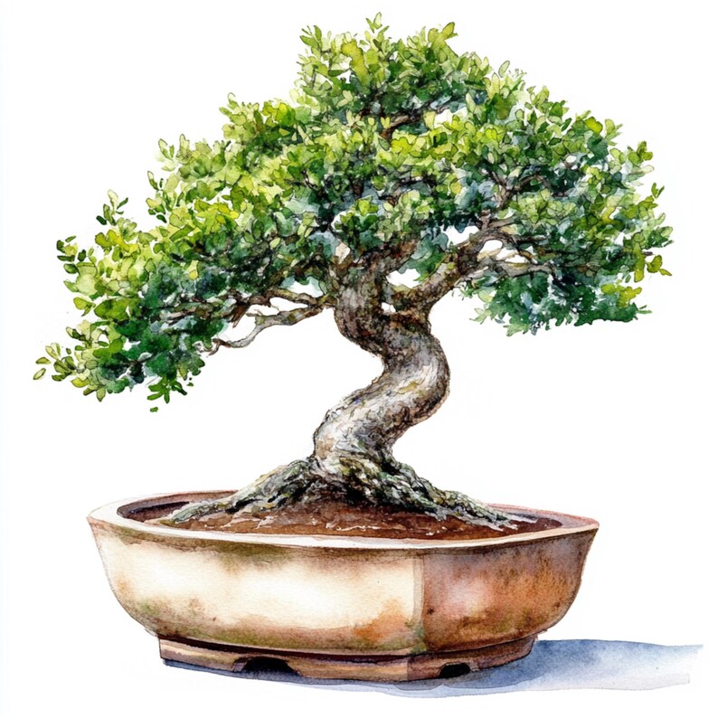Printable Bonsai Tree, Watercolor Bonsai in Pot, 10 Images, Bonsai ...