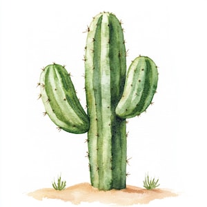 10 Printable Cactus in Desert Decor, Watercolor Images, Cactus ...