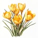 Printable Yellow Crocus Flower Decor, Crocuses Watercolor Images ...